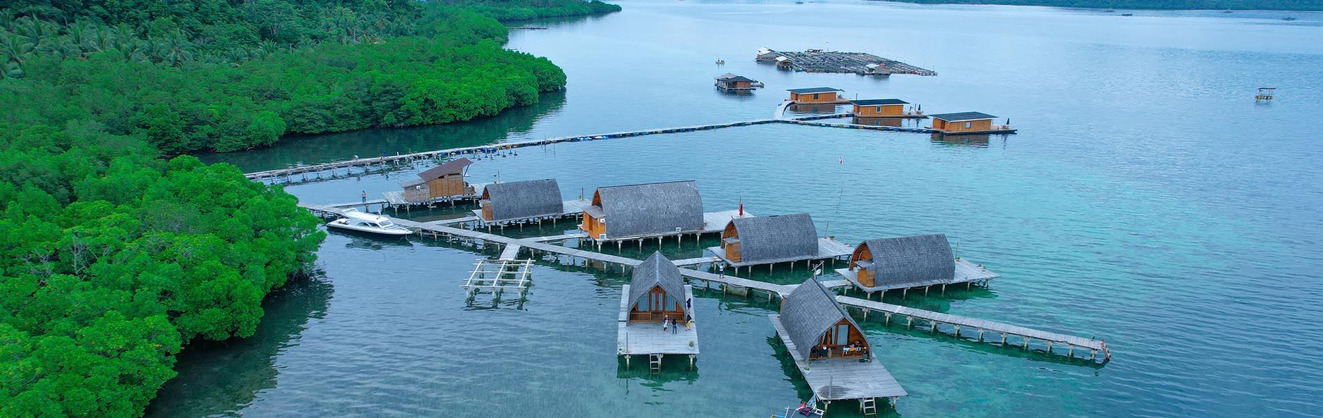 Kiluan Negeri: Harmoni Laut, Hutan, dan Harapan dari Ujung Selatan ...